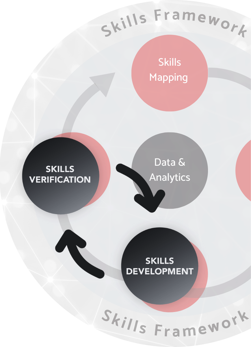 Skills Intelligence: Supercharging a skills-based talent strategy