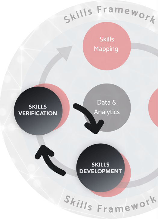 Skills Intelligence: Supercharging a skills-based talent strategy
